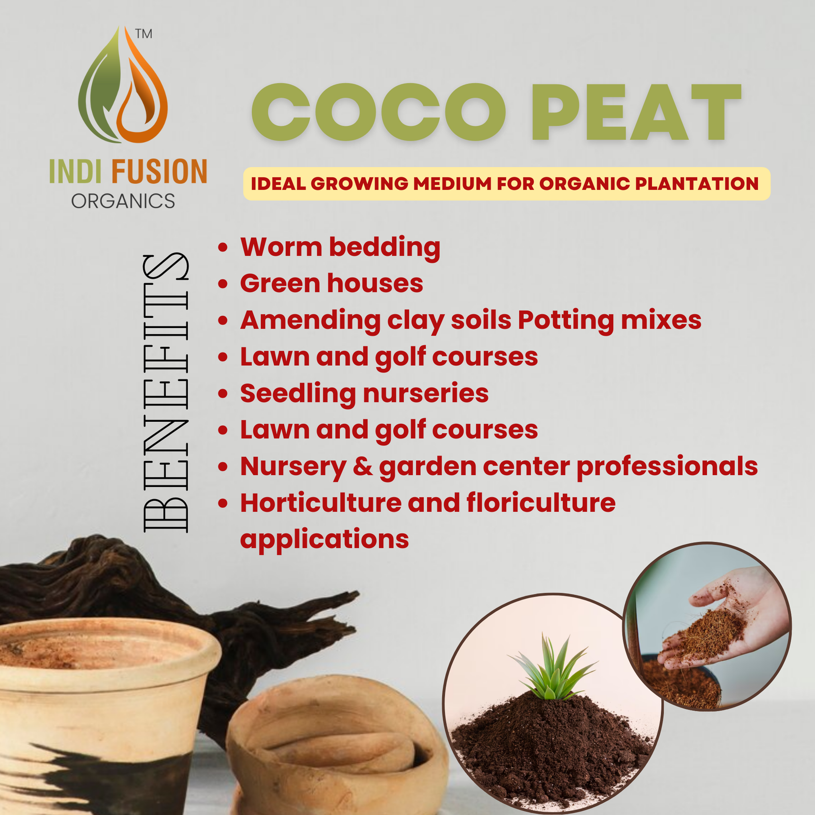 What is Coco Peat and How to Use It for Plants? - Indifusion Organics